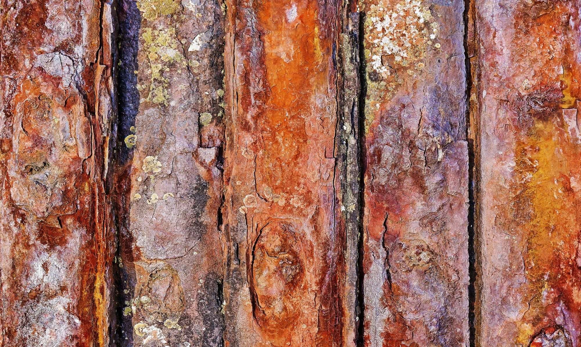 Wabi-Sabi: How to embrace the ancient philosophy