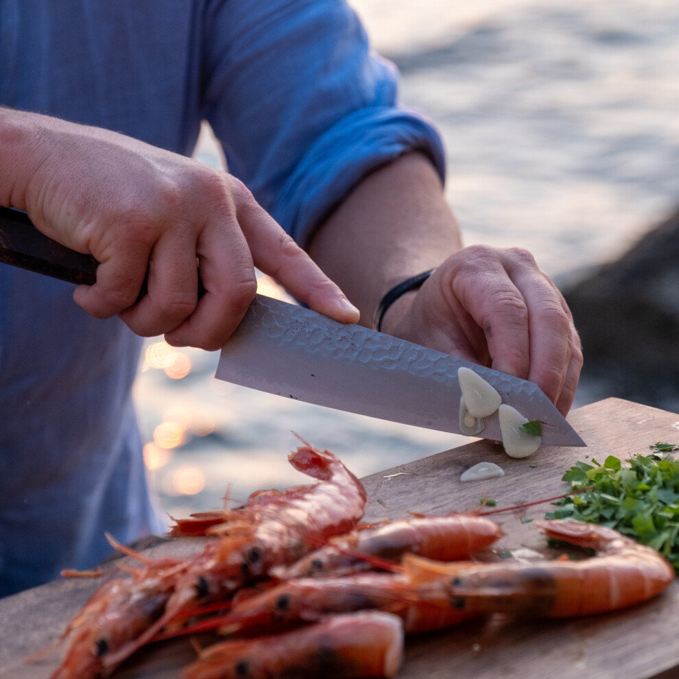 Exploring Japanese Knife Styles: Kiritsuke, Bunka, Gyuto, and Santoku ...